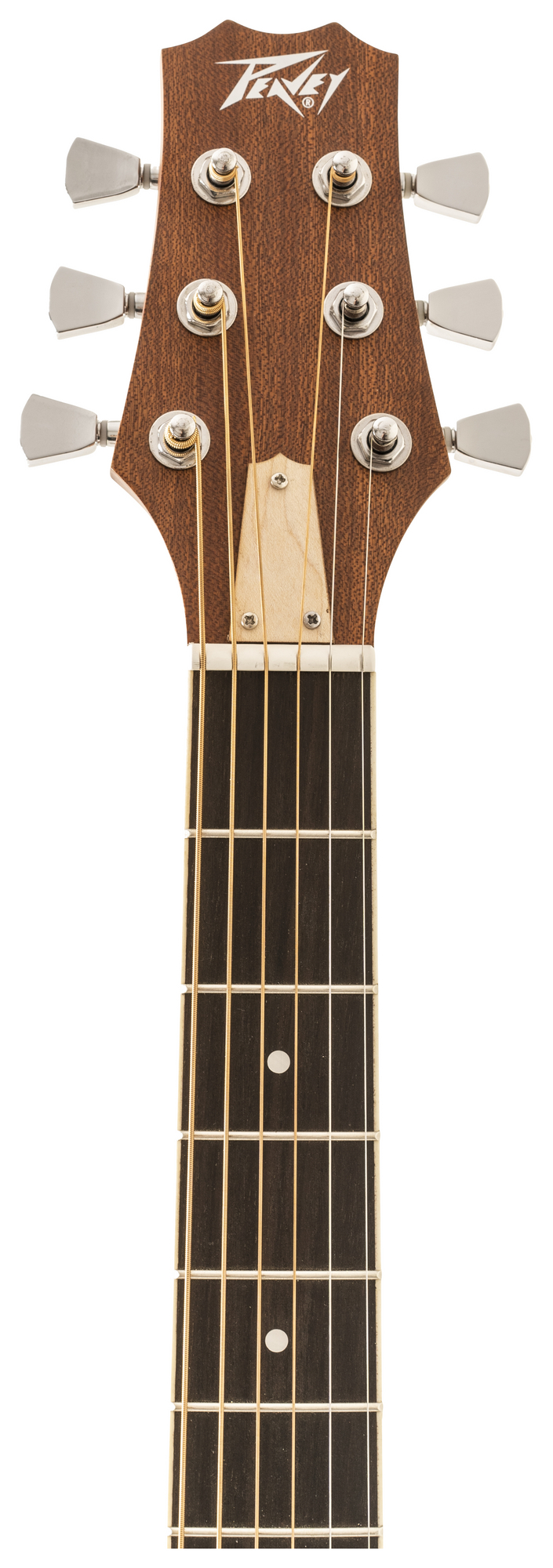 Delta Woods® DW-1™ Acoustic Guitar with Bag - Peavey