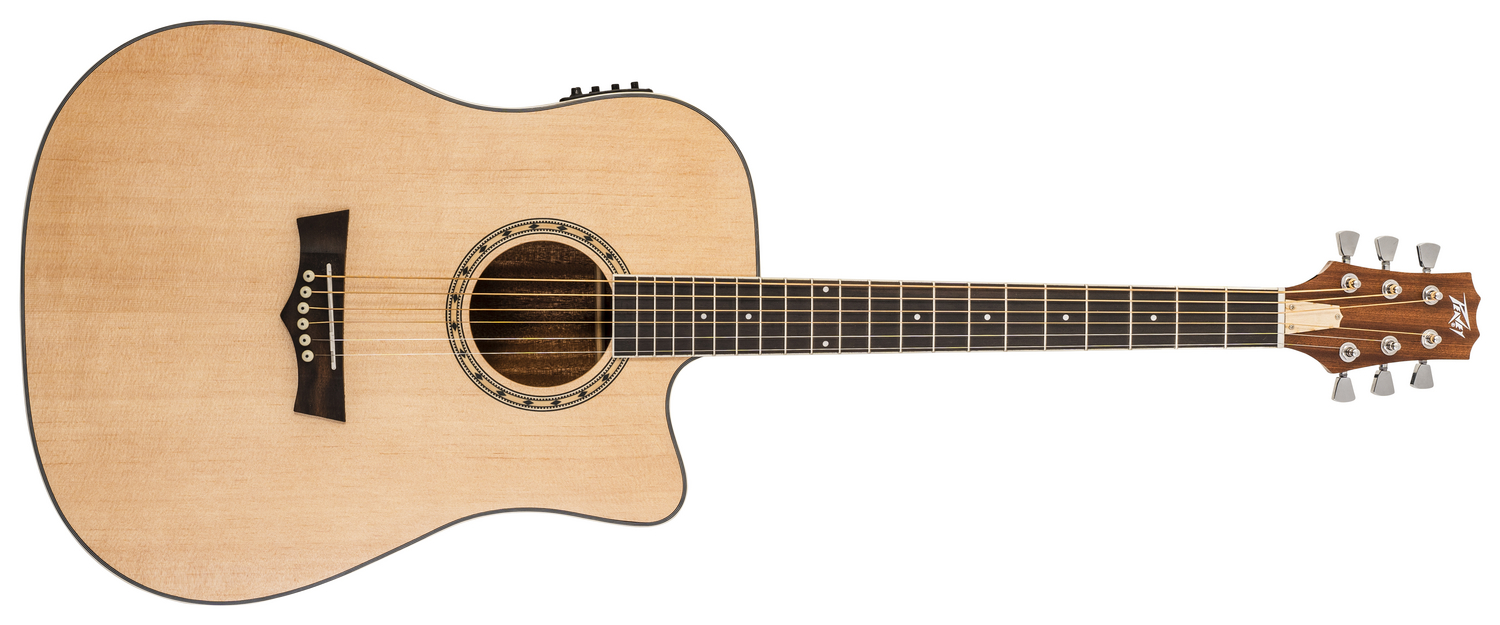 Delta Woods® DW-2 CE™ Solid Top Cutaway Acoustic-Electric Guitar with ...