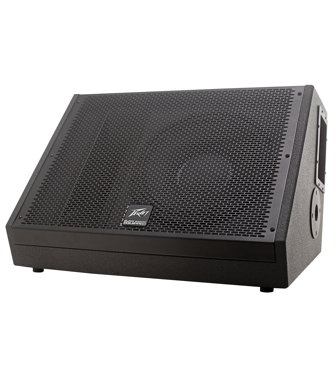 SP® 12M 12 inch Floor Monitor - Peavey