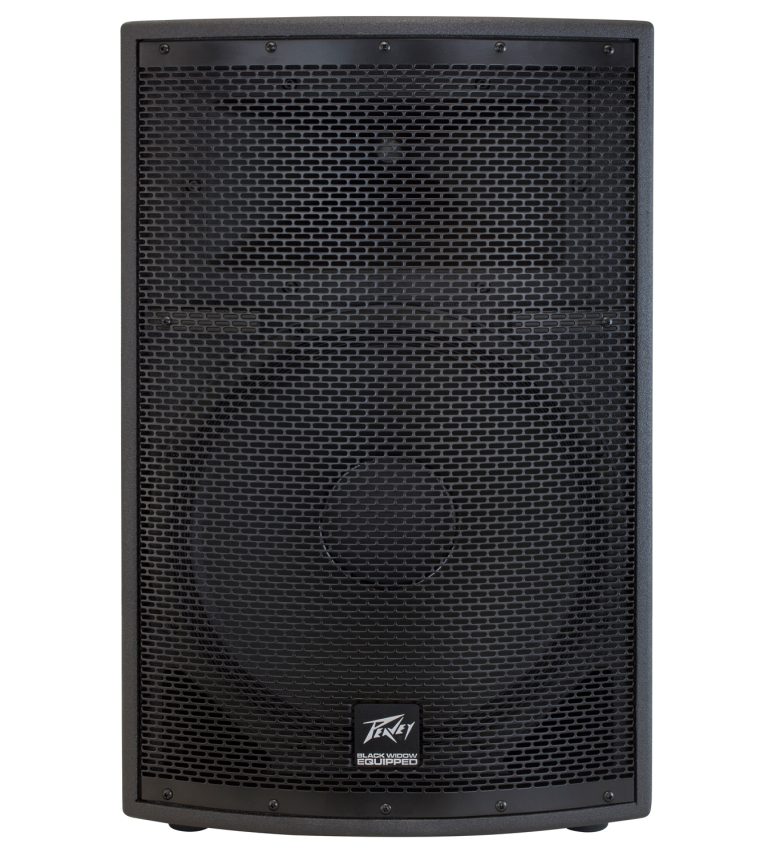 SP® 2 2-Way PA Speaker - Peavey