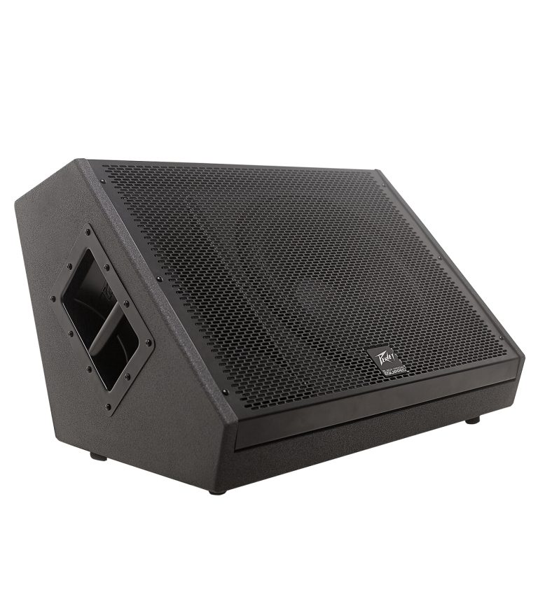 SP® 12M 12 inch Floor Monitor - Peavey