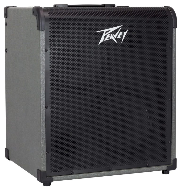 MAX® 300 300-Watt Bass Amp Combo - Peavey