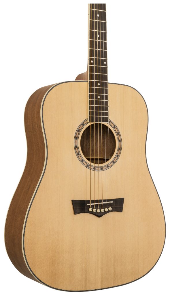 Delta Woods® DW-1™ Acoustic Guitar with Bag - Peavey