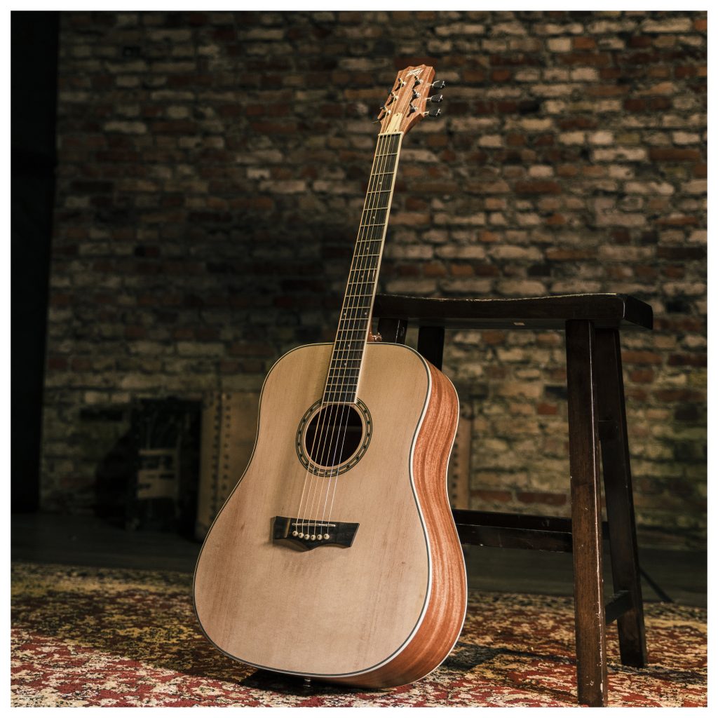 Delta Woods® DW-2™ Solid Top Dreadnought Acoustic Guitar - Peavey