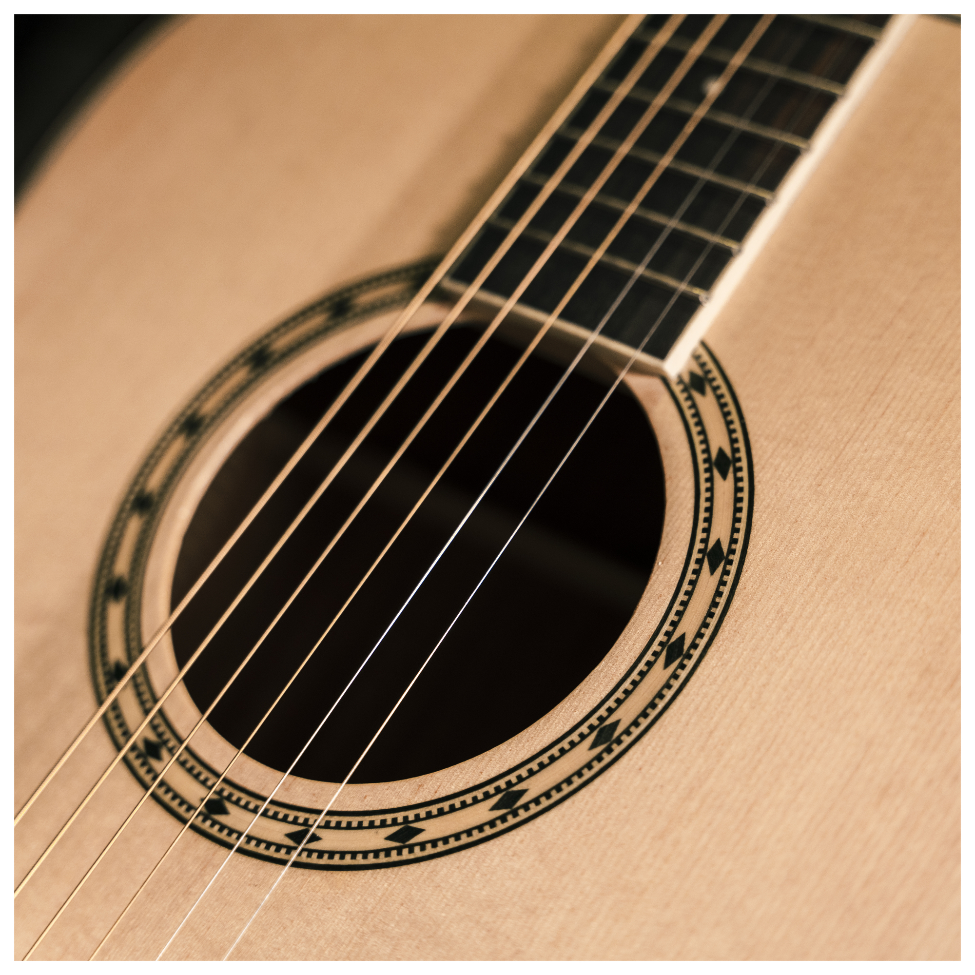 Delta Woods® DW-2™ Solid Top Dreadnought Acoustic Guitar - Peavey